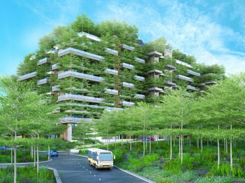 Project: Forest In The Sky